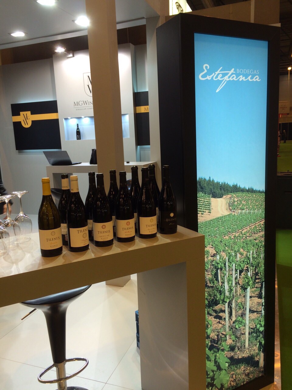 Bodegas Estefania - Winery in Castile and Leon | Winetourism.com