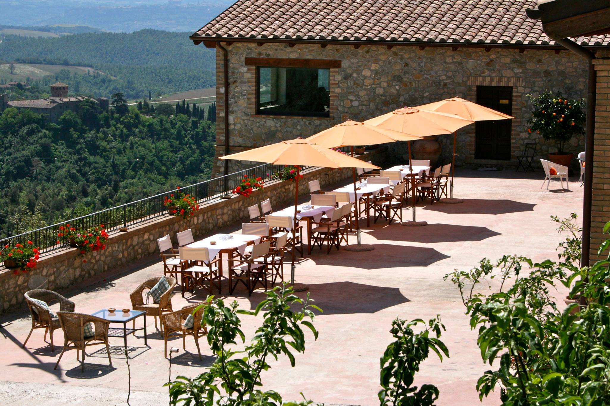 Tenuta Vitalonga - Winery in Umbria | Winetourism.com