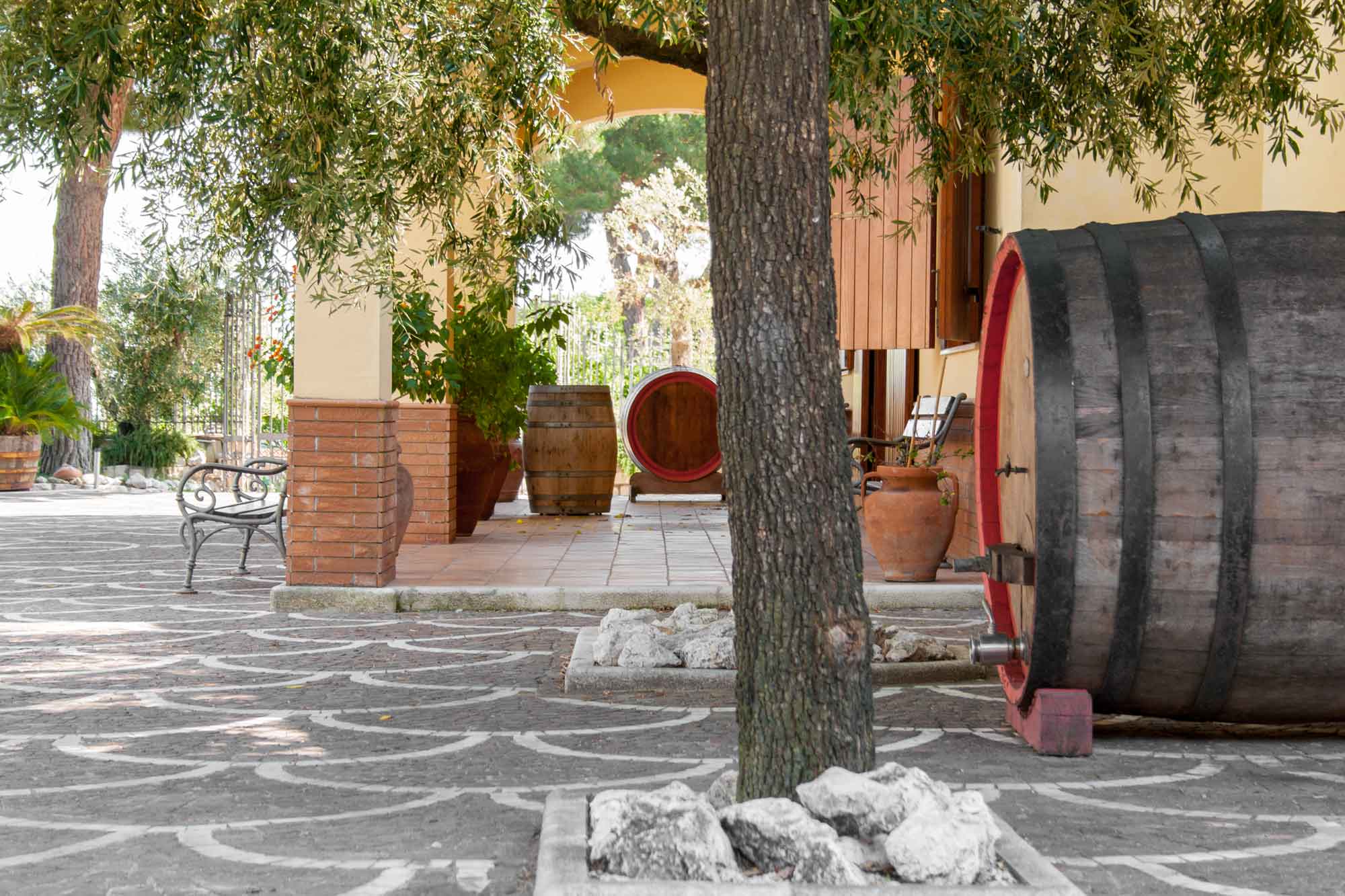 Cantine Astroni - Phlegraios Wine Tasting & Tour | Winetourism.com