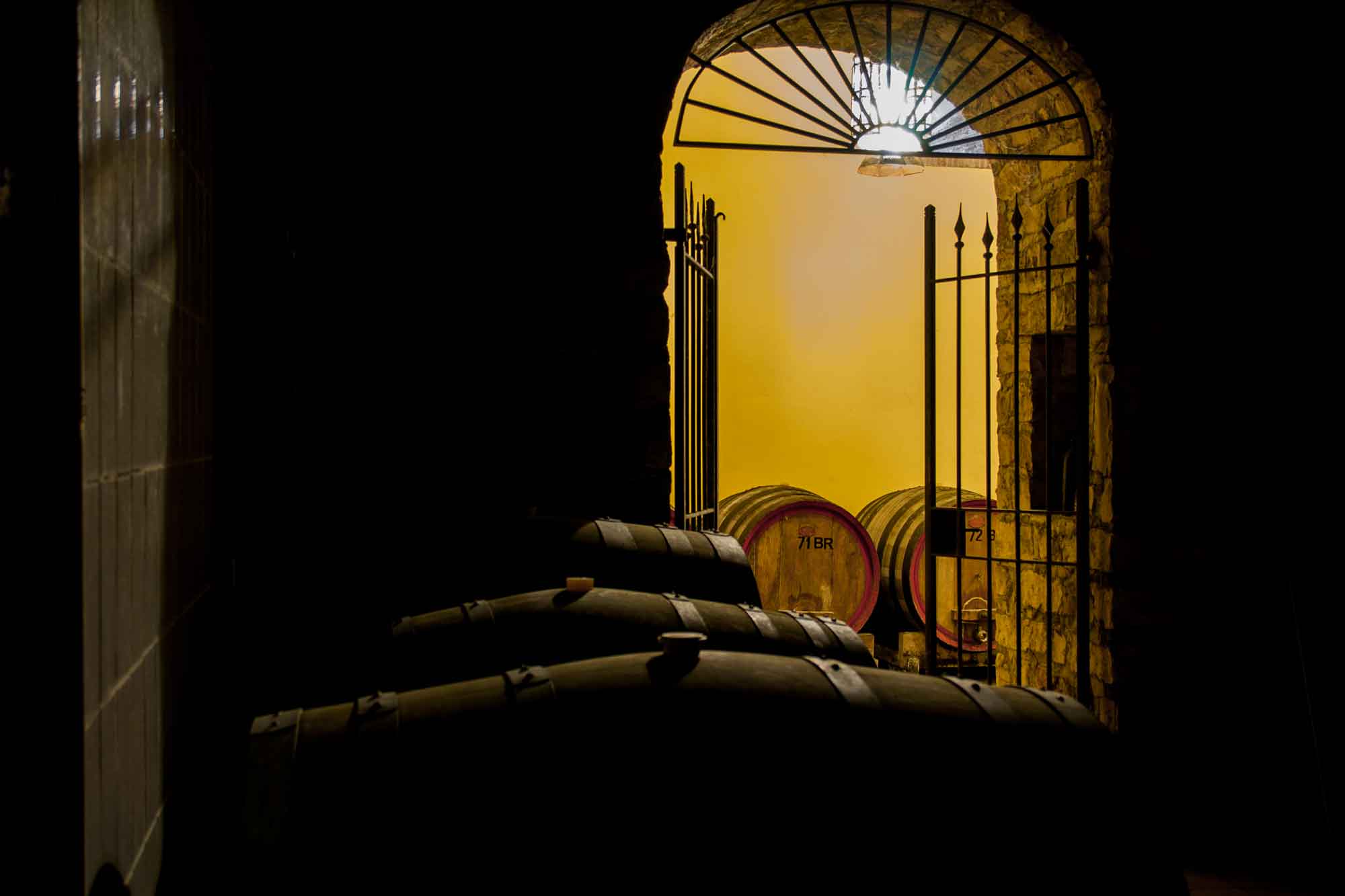 Cantine Astroni - Winery in Campania | Winetourism.com