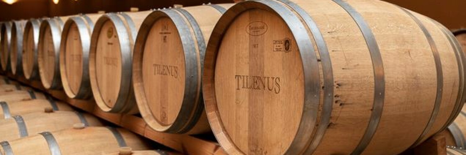 Bodegas Estefania - Winery in Castile and Leon | Winetourism.com