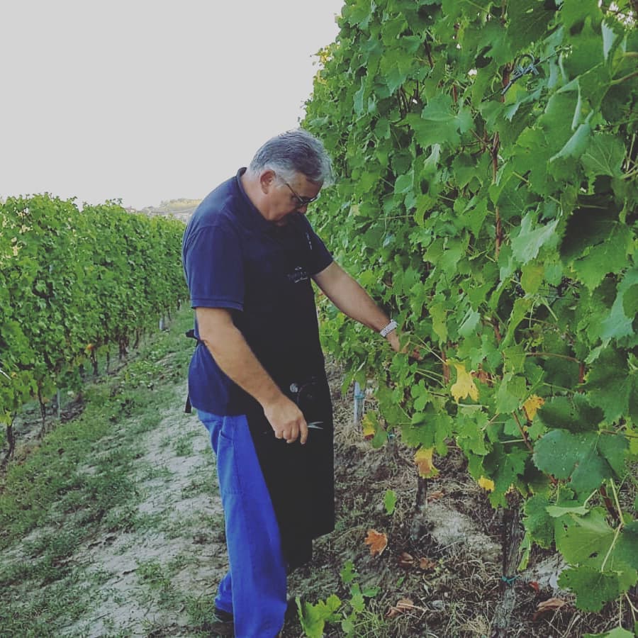 Mauro Sebaste - Wine Tasting & Tour | Winetourism.com