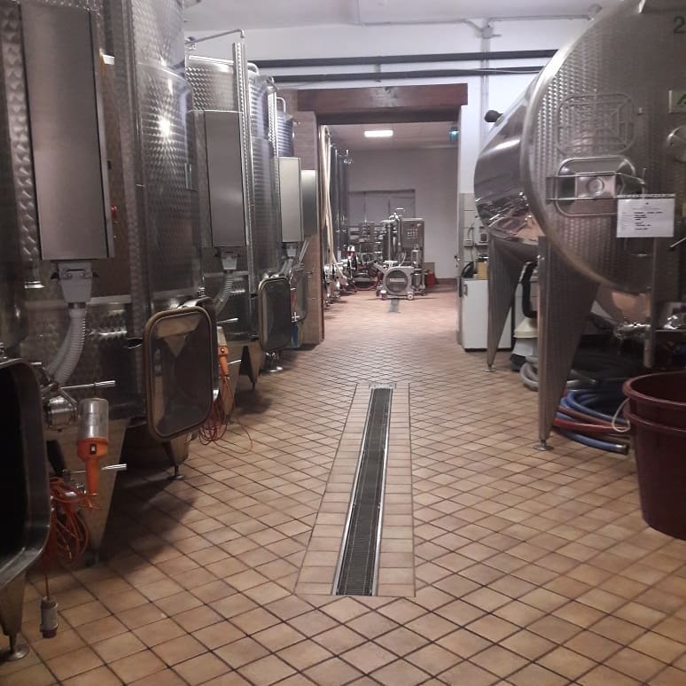 Mauro Sebaste - Wine Tasting & Tour | Winetourism.com