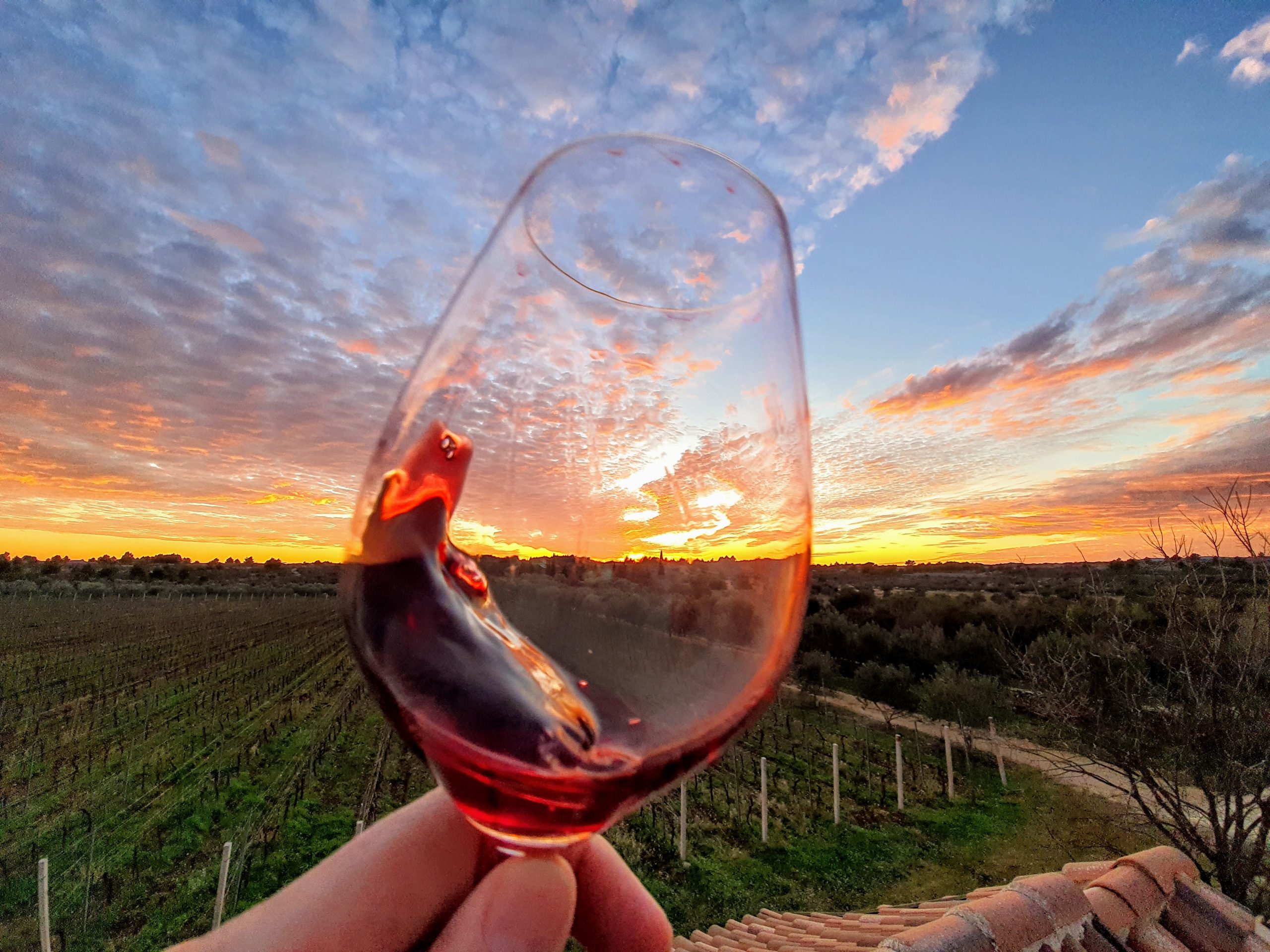 Baraka Winery - Winery in Dalmatia | Winetourism.com