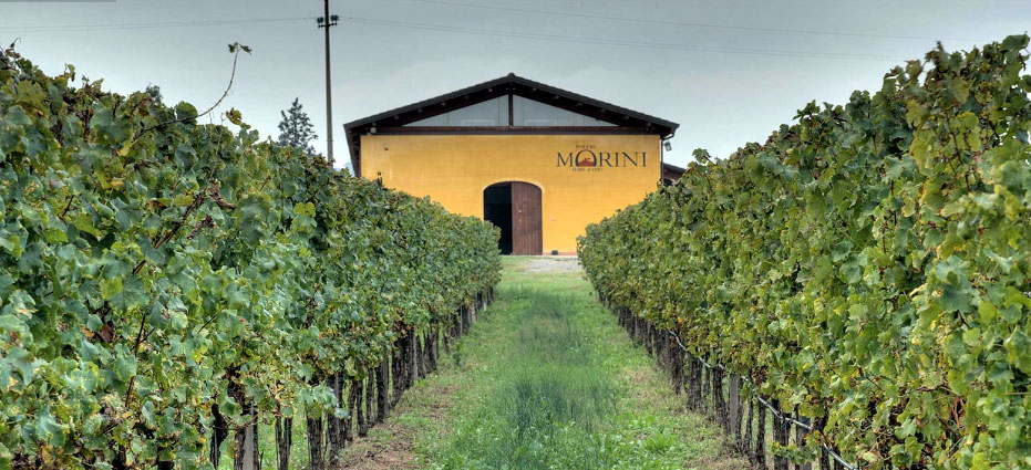 Poderi Morini - Degustazione e Tour | Winetourism.com