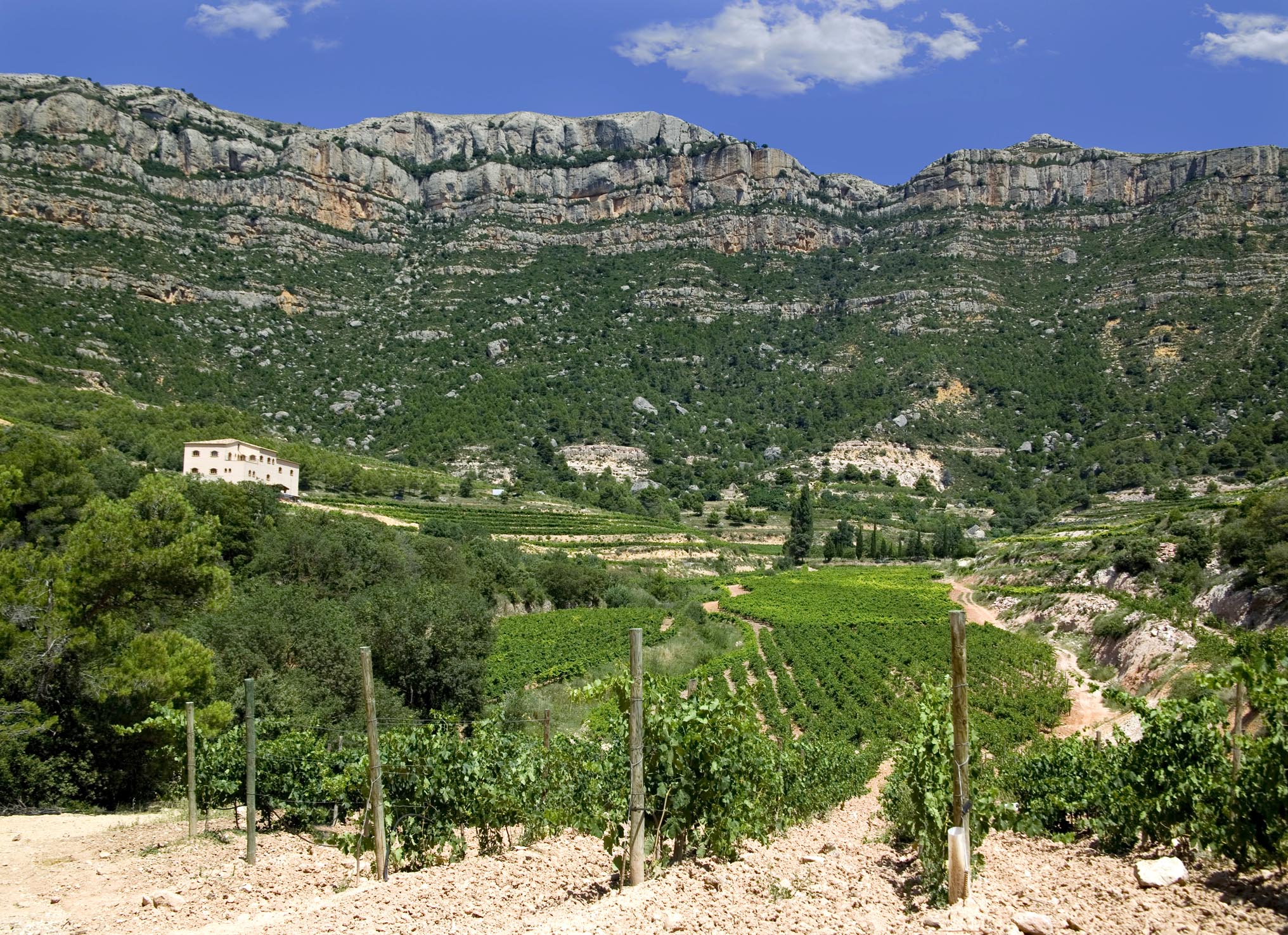 Ametller - Wine Tasting & Tour in Catalonia | Winetourism.com