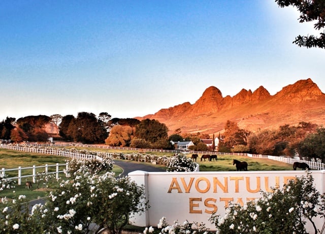 Avontuur Estate - Winery in Stellenbosch | Winetourism.com