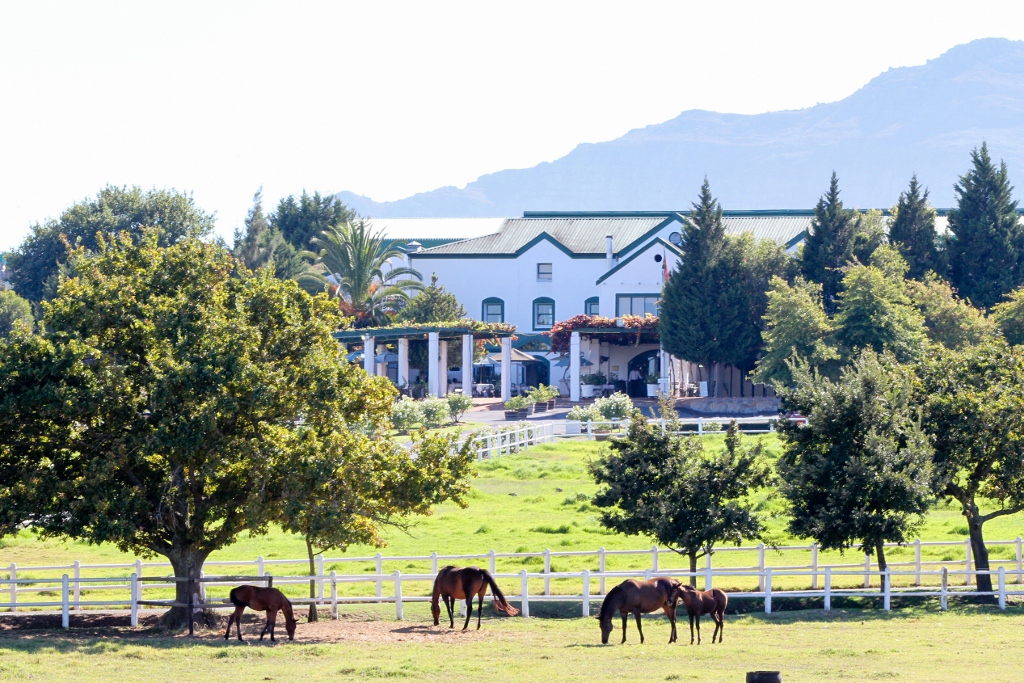 Avontuur Estate - Winery in Stellenbosch | Winetourism.com