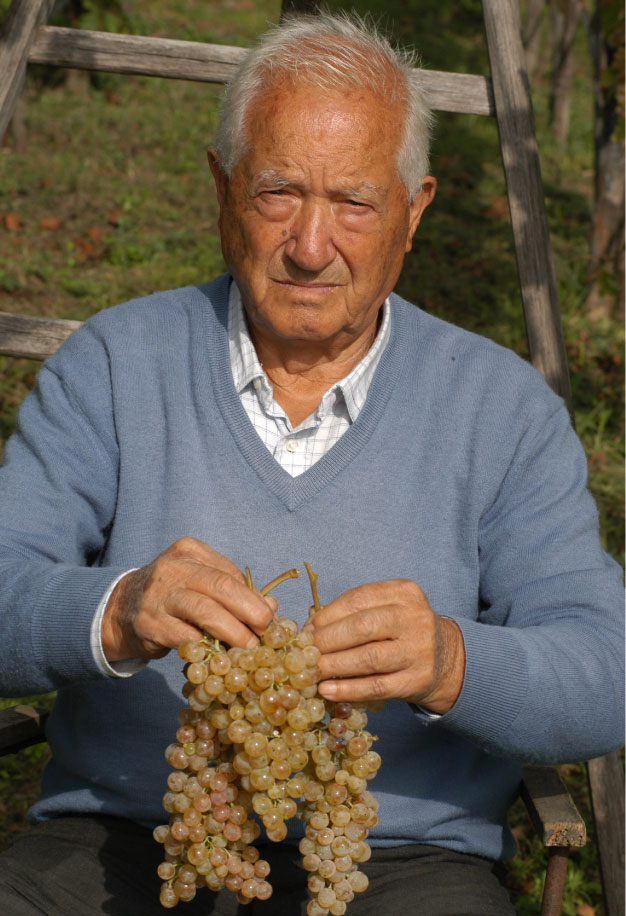 Cantine Astroni - Winery in Campania | Winetourism.com