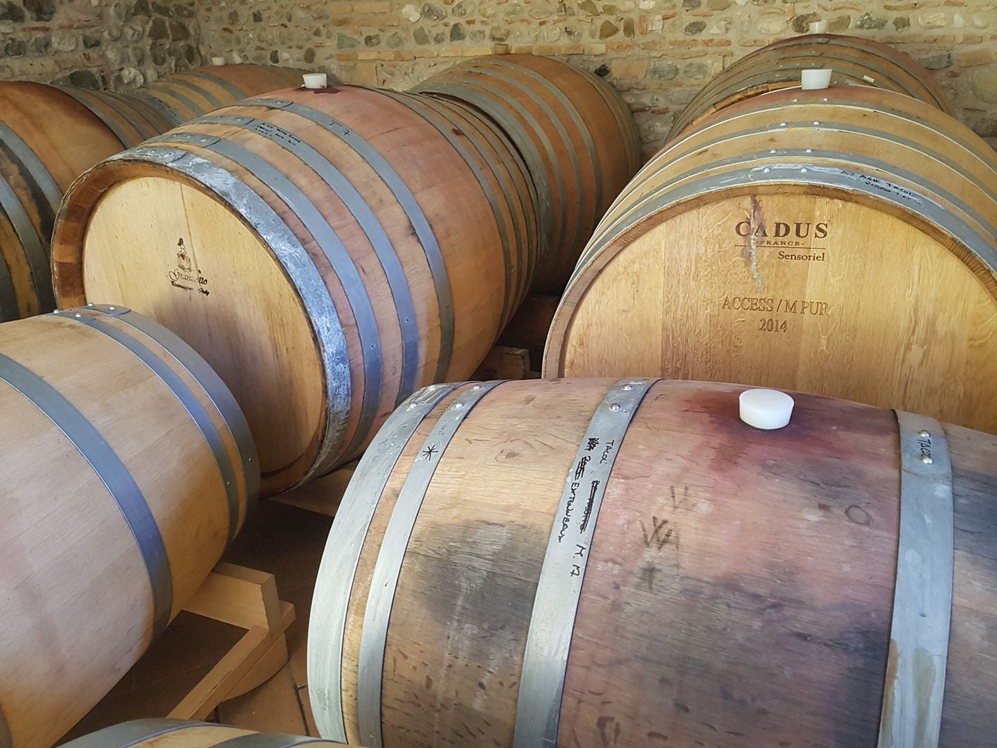 Conti Tacoli Asquini - Wine Tasting & Tour | Winetourism.com