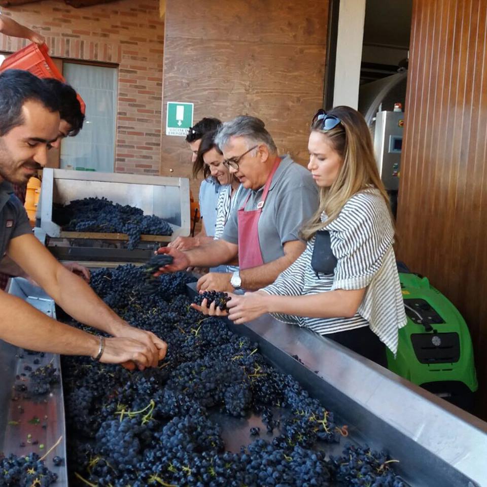 Mauro Sebaste - Wine Tasting & Tour | Winetourism.com
