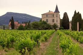 Château La Baronne - Winery in Languedoc-Roussillon | Winetourism.com