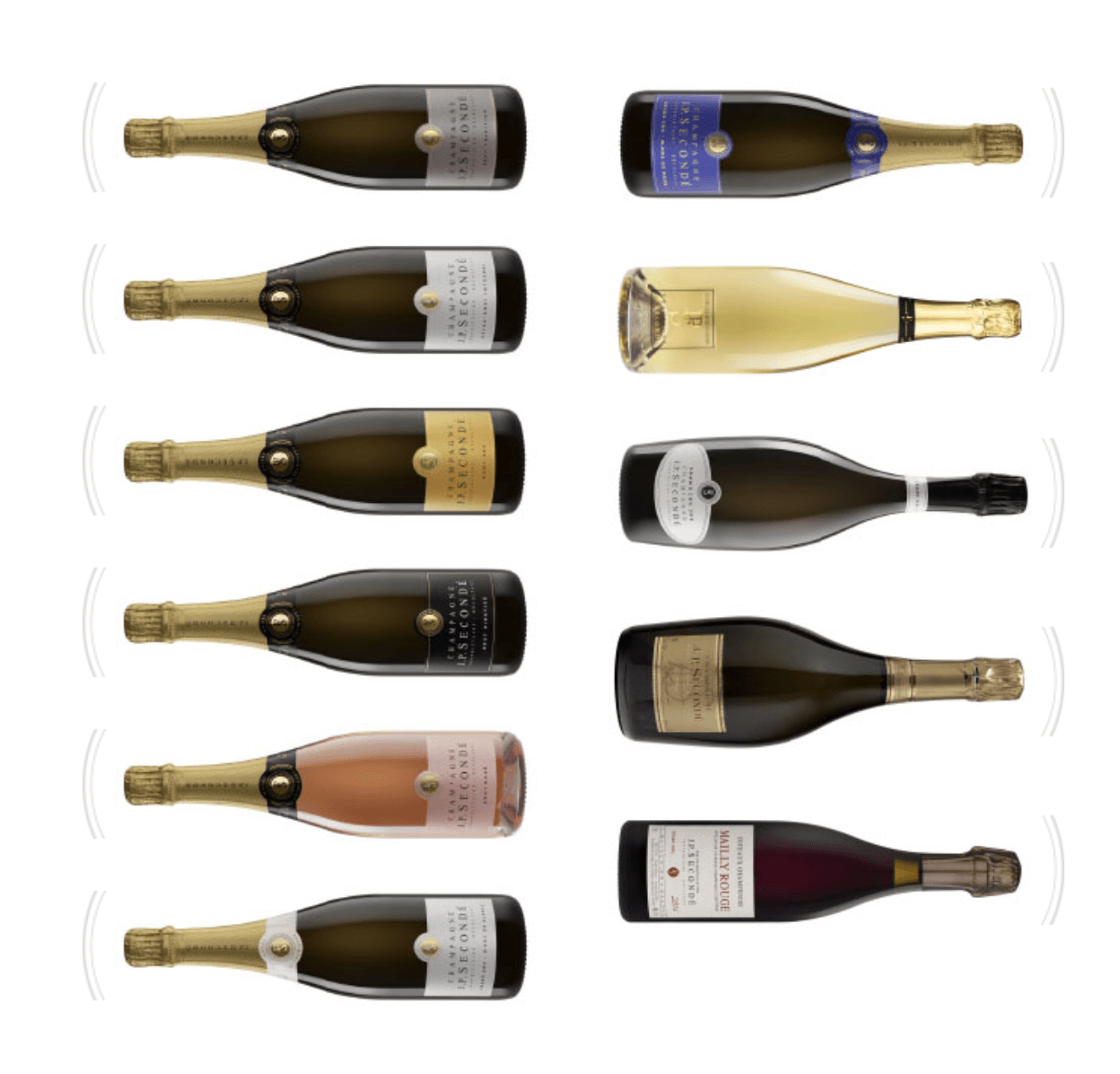 Champagne Jean Pierre Seconde - Wine Tasting & Tour | Winetourism.com