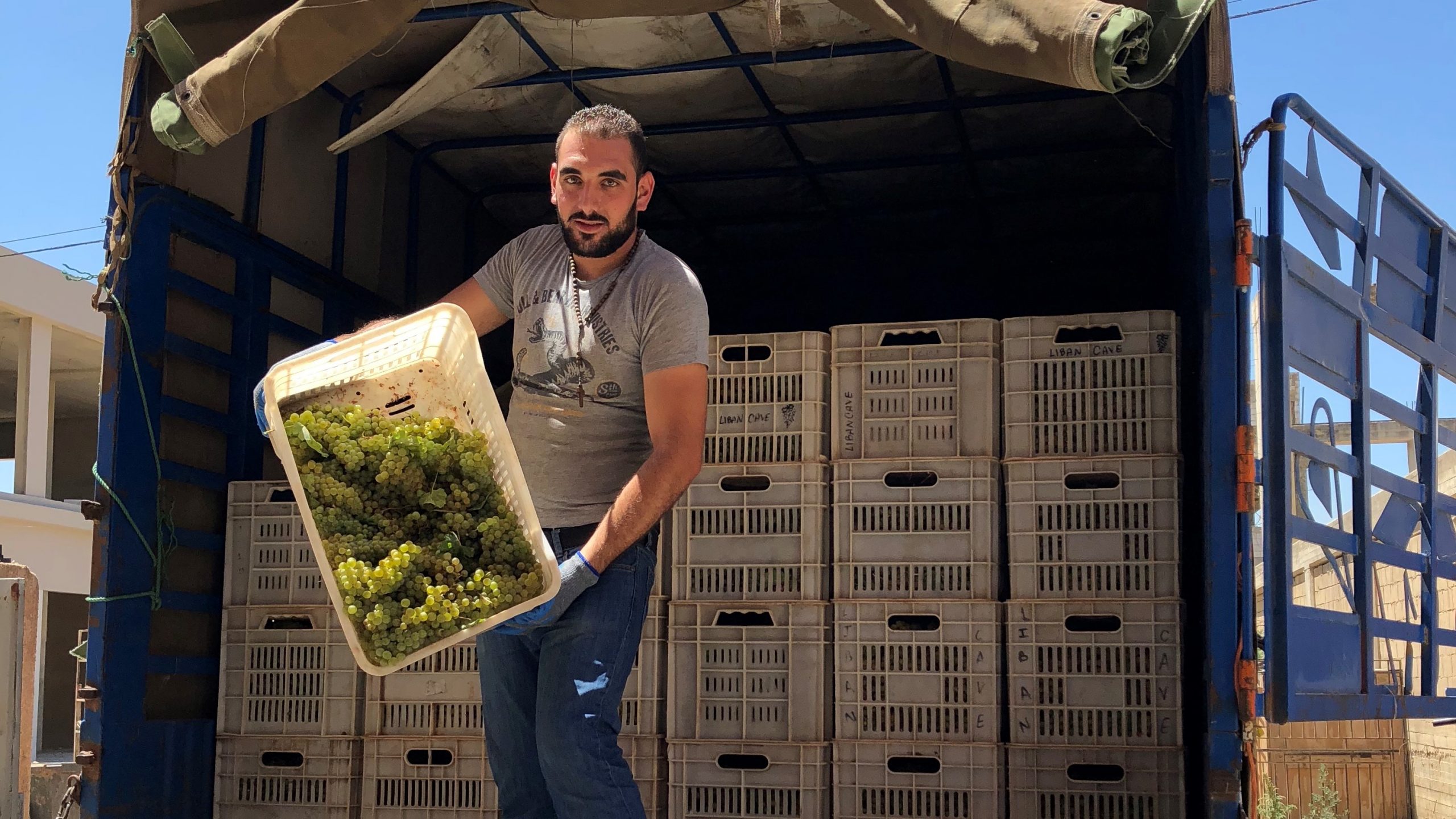 Bekaa Valley Wine Region Guide | WineTourism.com