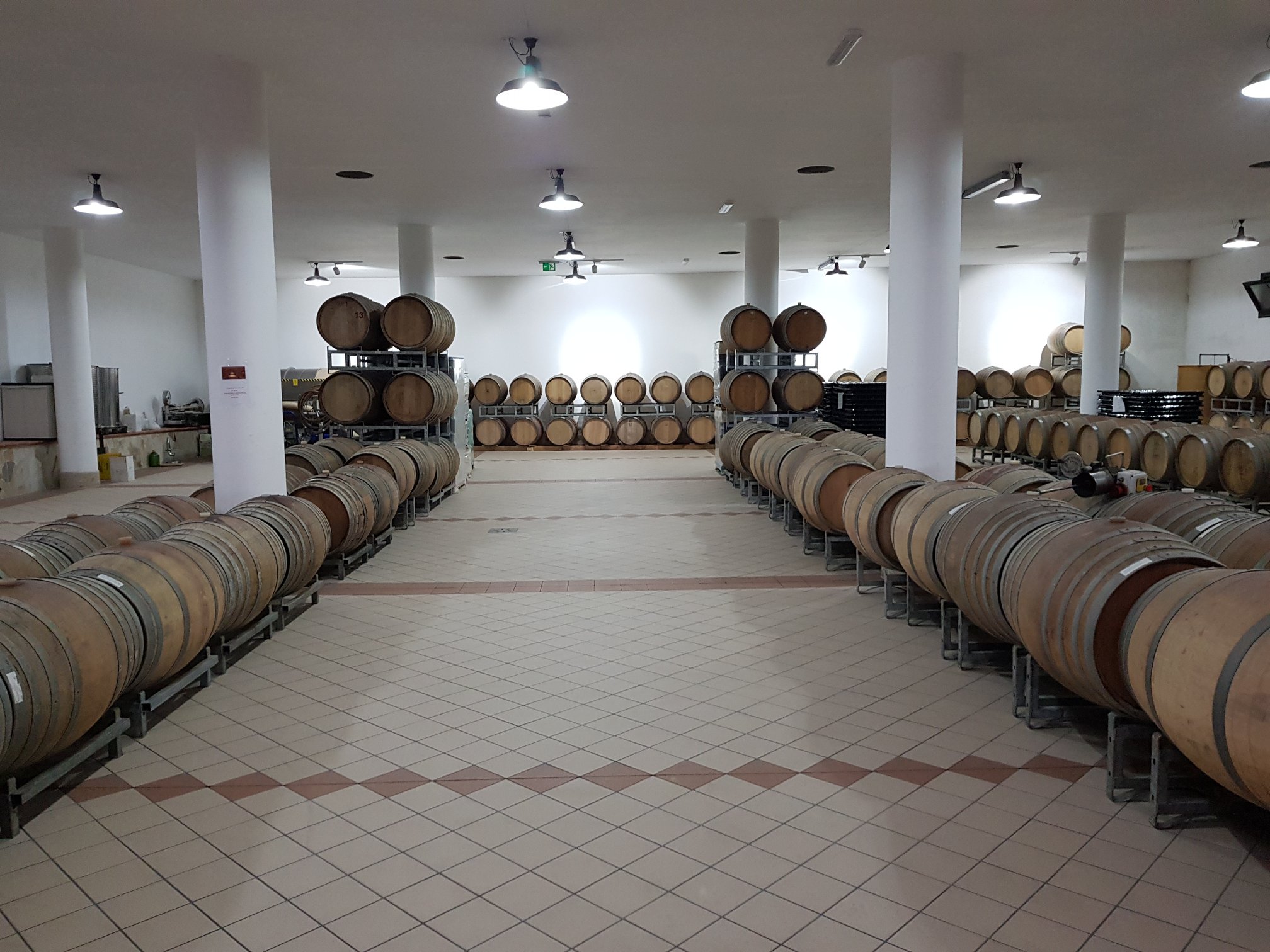 Tenute Soletta - Wine Tasting & Tour | Winetourism.com