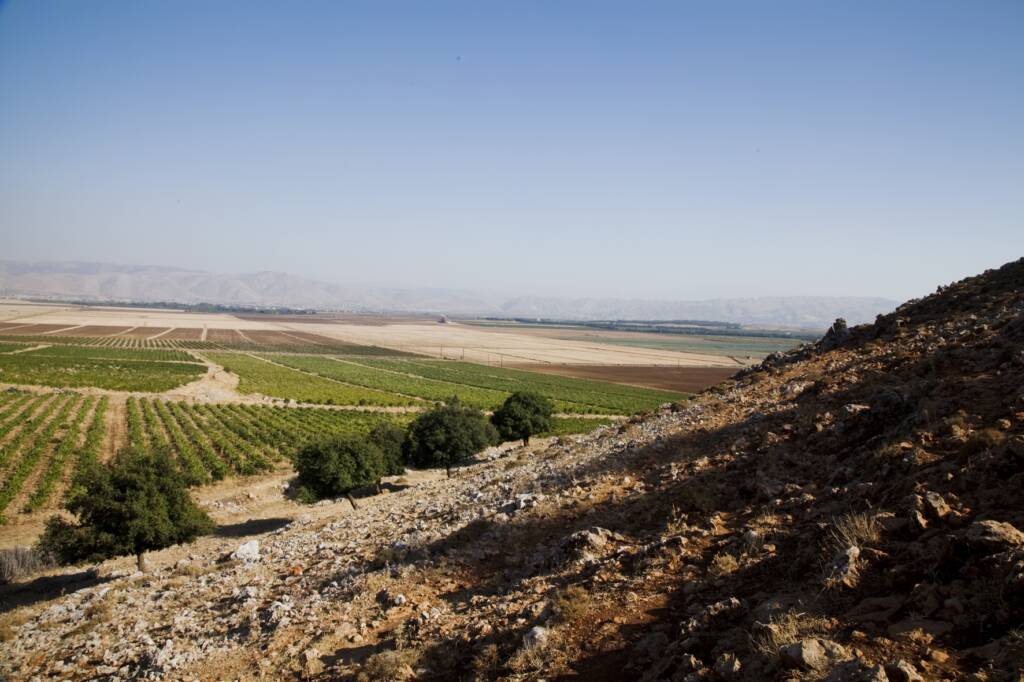 Bekaa Valley Wine Region Guide | WineTourism.com