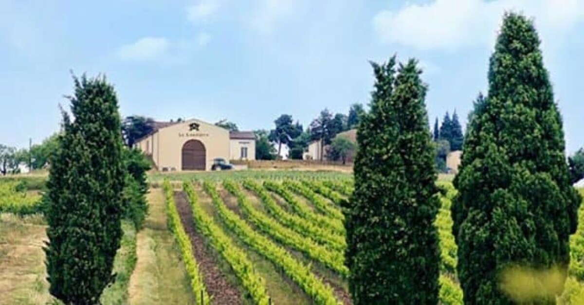 Faugères Wine Region 2026: Wines & Terroir | WineTourism.com