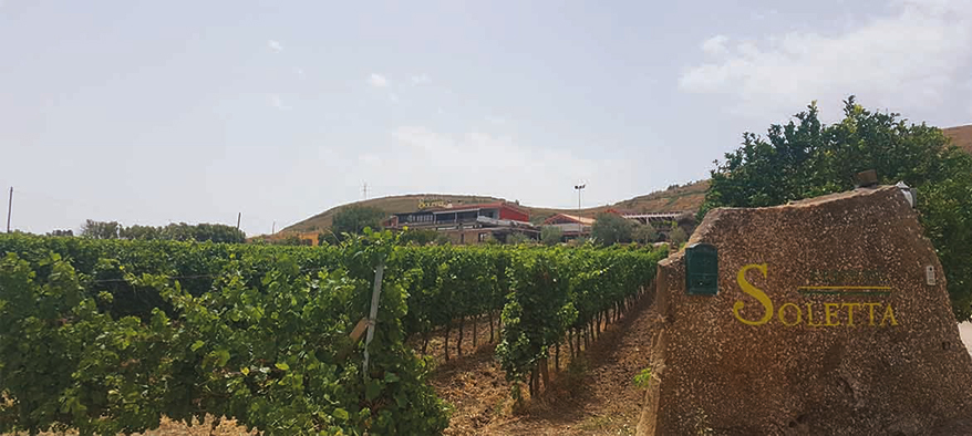 Tenute Soletta - Wine Tasting & Tour | Winetourism.com
