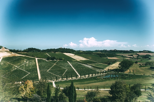 UNESCO Protected Wine Heritage in Italy | WineTourism.com