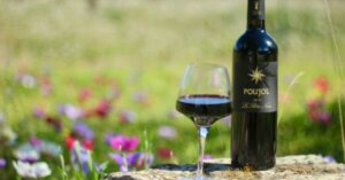 Find & Book Wineries to Visit in Languedoc-Roussillon | WineTourism.com