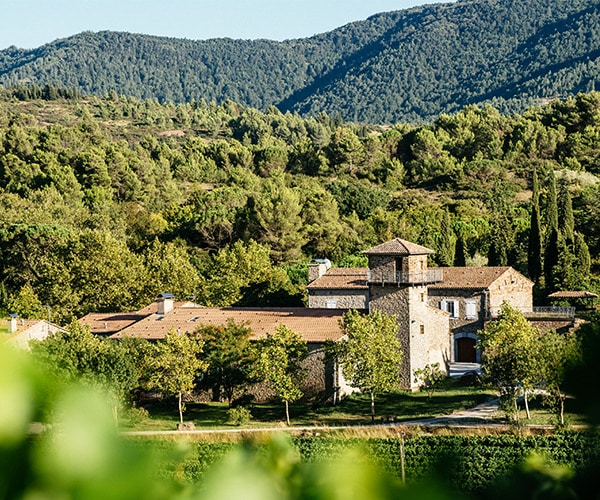 Visit and Tasting at Calmel & Joseph | Winetourism.com