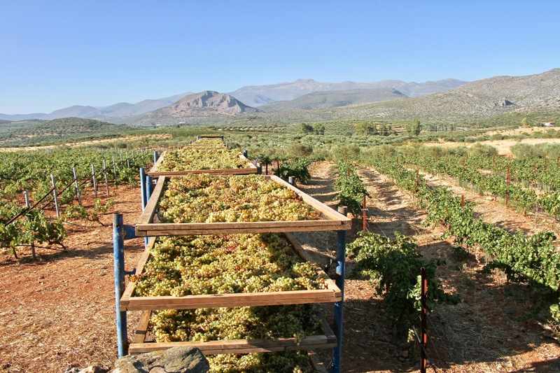 Tasting and visitng at the Monemvasia winery | Winetourism.com