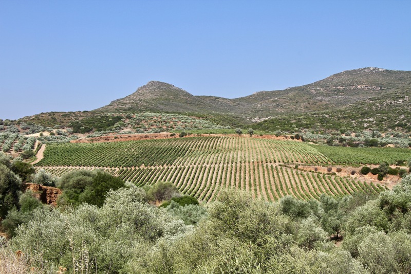 Tasting and visitng at the Monemvasia winery | Winetourism.com