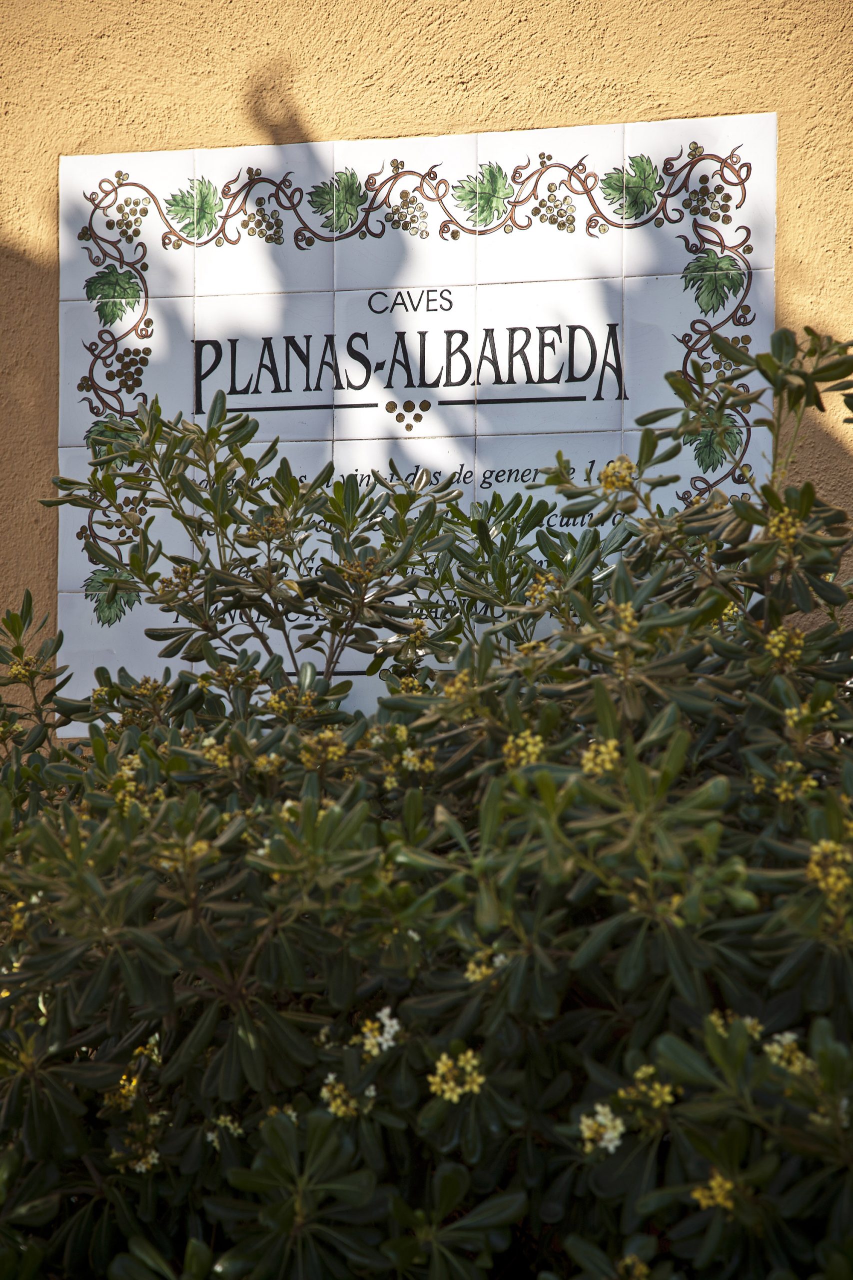 Caves Planas Albareda - Wine Tasting & Tour | Winetourism.com