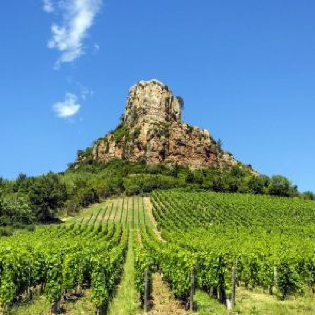 Côte Chalonnaise Wines & Terroir Guide 2026 | WineTourism.com
