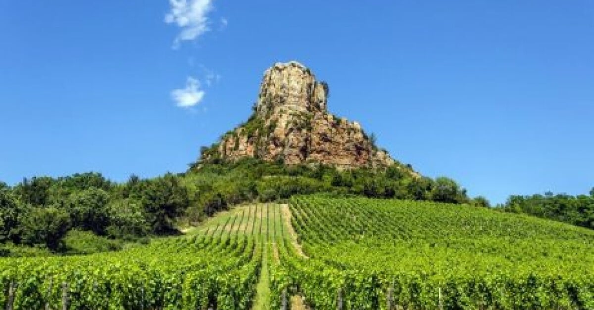Côte Chalonnaise Wines & Terroir Guide 2026 | WineTourism.com