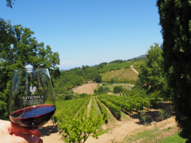 Savignola - Wine Tasting & Tour | Winetourism.com