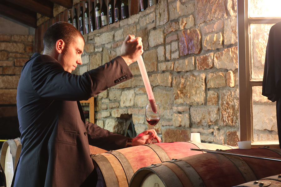 Degustazione e tour della vinificazione a Collis in Istria| Winetourism.com