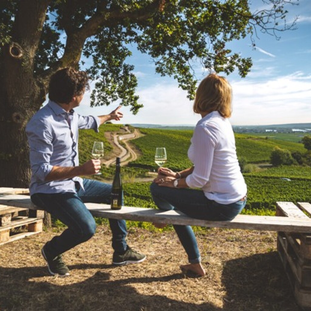 Rheingau Wine Tours 2026: Taste Riesling & Culture | WineTourism.com