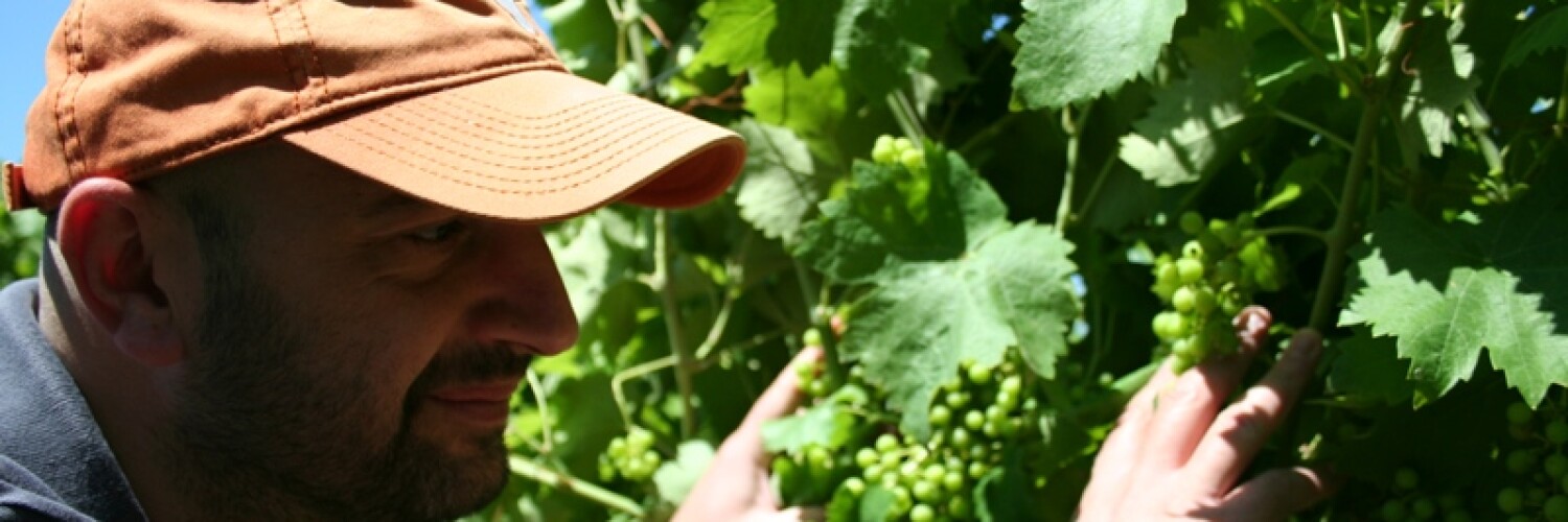 Benincasa - Wine Tasting & Tour | Winetourism.com