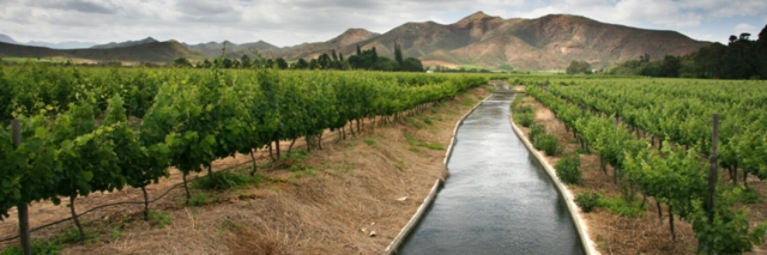 Van Loveren - Great winery in Robertson | Winetourism.com