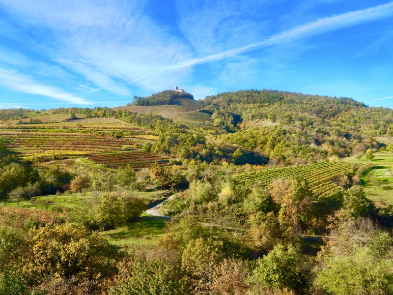 Vina Povh - Wine Tasting & Tour | Winetourism.com