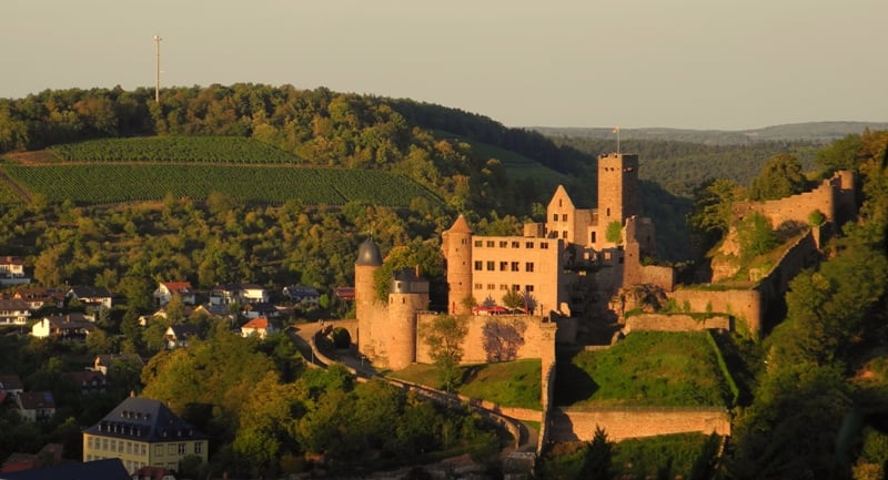 Weingut Alte Grafschaft - Wine Tasting & Tour | Winetourism.com
