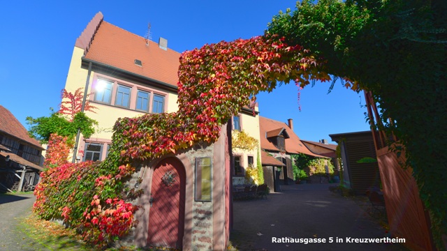 Weingut Alte Grafschaft - Wine Tasting & Tour | Winetourism.com