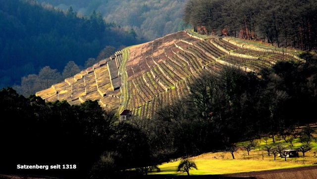Weingut Alte Grafschaft - Kreuzwertheim winery | Winetourism.com