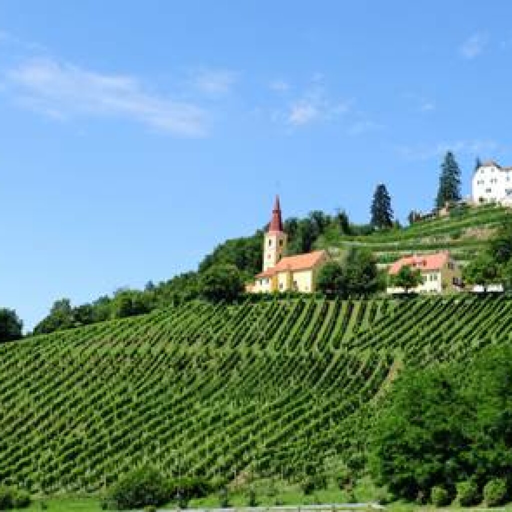 Find & Book Wineries to Visit in Styria | WineTourism.com