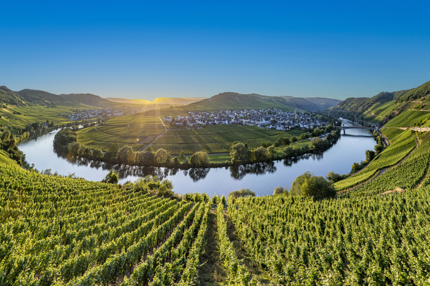 Wine Countries | The Ultimate Guide for Connoisseurs | WineTourism.com