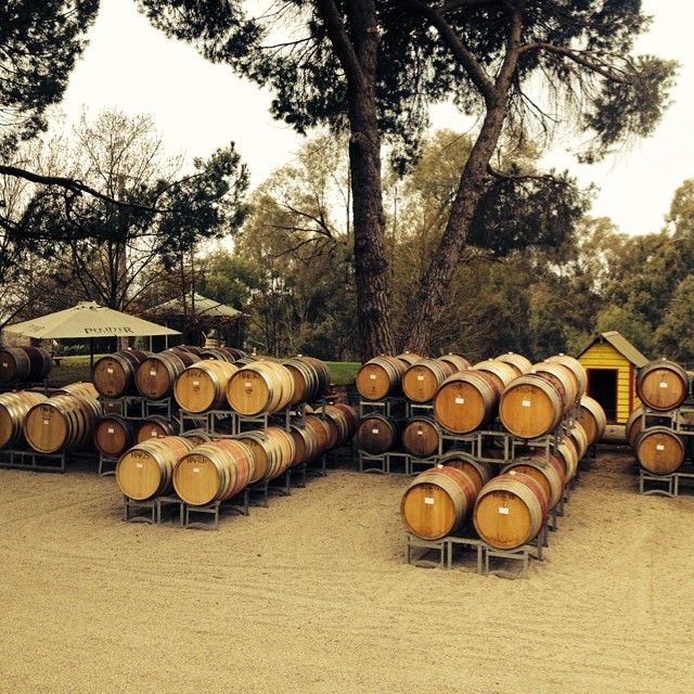 Wine tasting and tour at Pfeiffer Wines | Winetourism.com