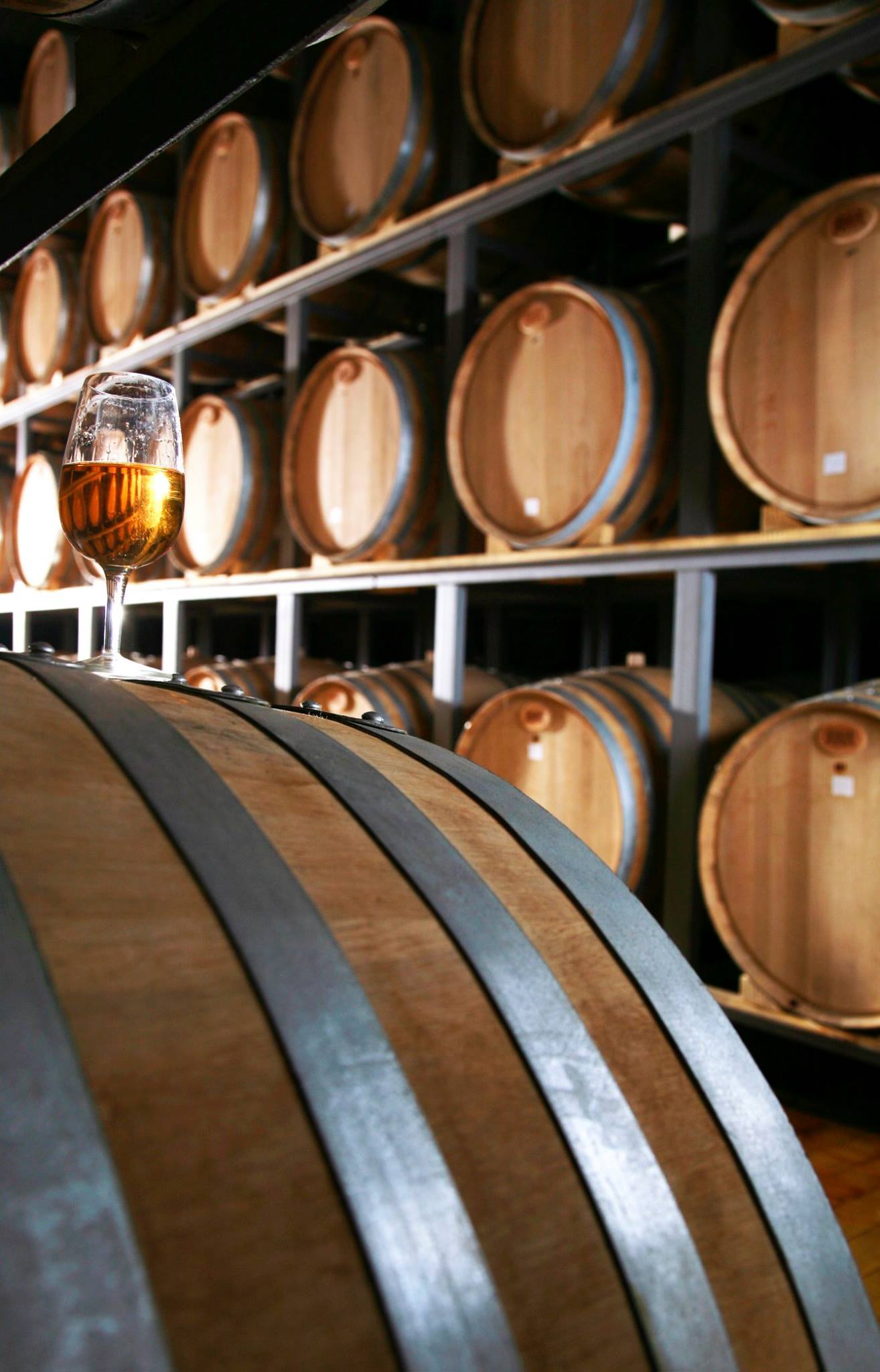 Wine tasting and tour at Tikveš Winery | Winetourism.com