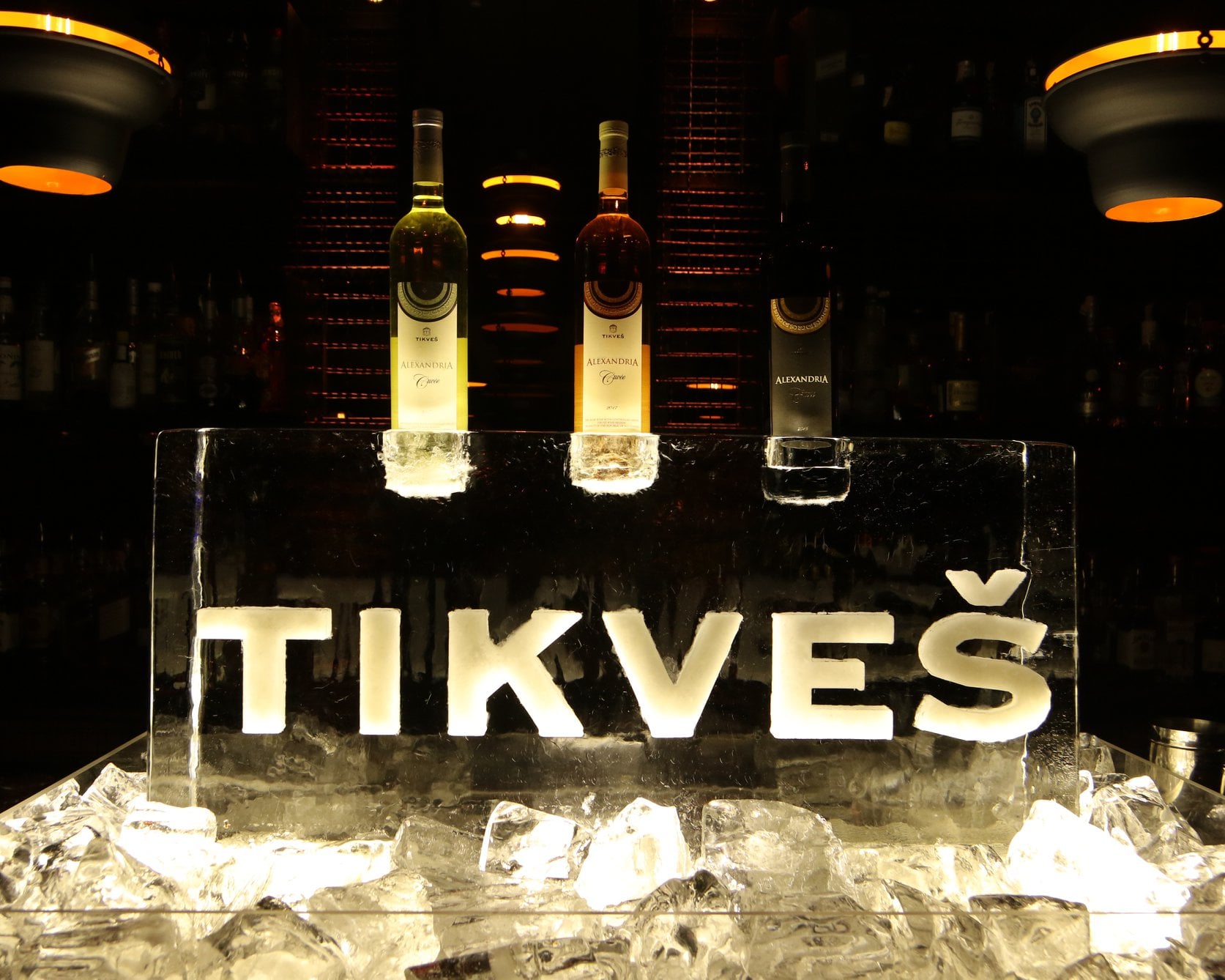 Wine tasting and tour at Tikveš Winery | Winetourism.com