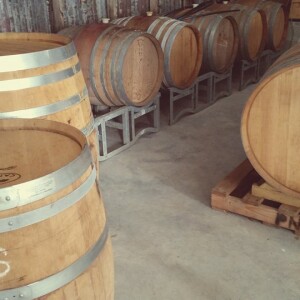 Winter Brook Vineyard - Winery in Tasmania | Winetourism.com