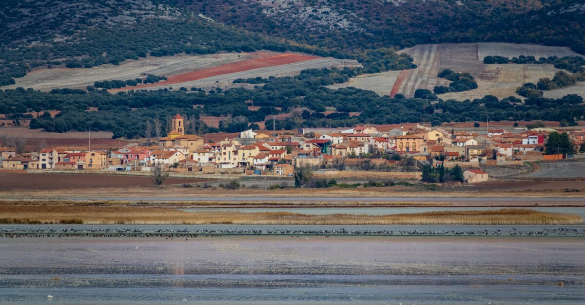 Región Vitivinícola de Calatayud 2026: Guía | WineTourism.com