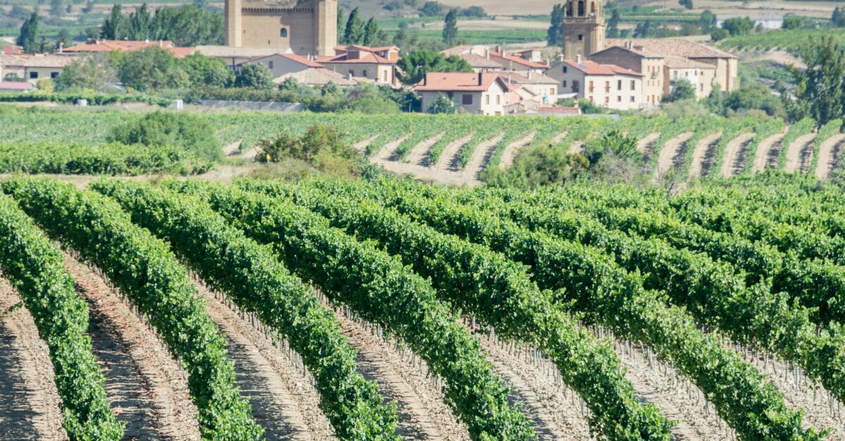 Rioja Alta Wines, Grape Varieties & Wineries 2026 | WineTourism.com