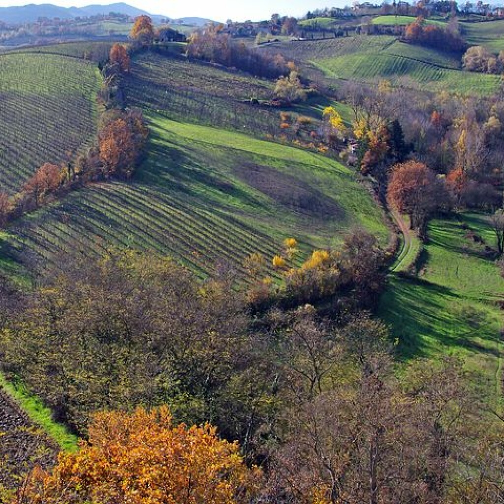 Romagna - Wine Region in Emilia - Romagna, Italy | Winetourism.com