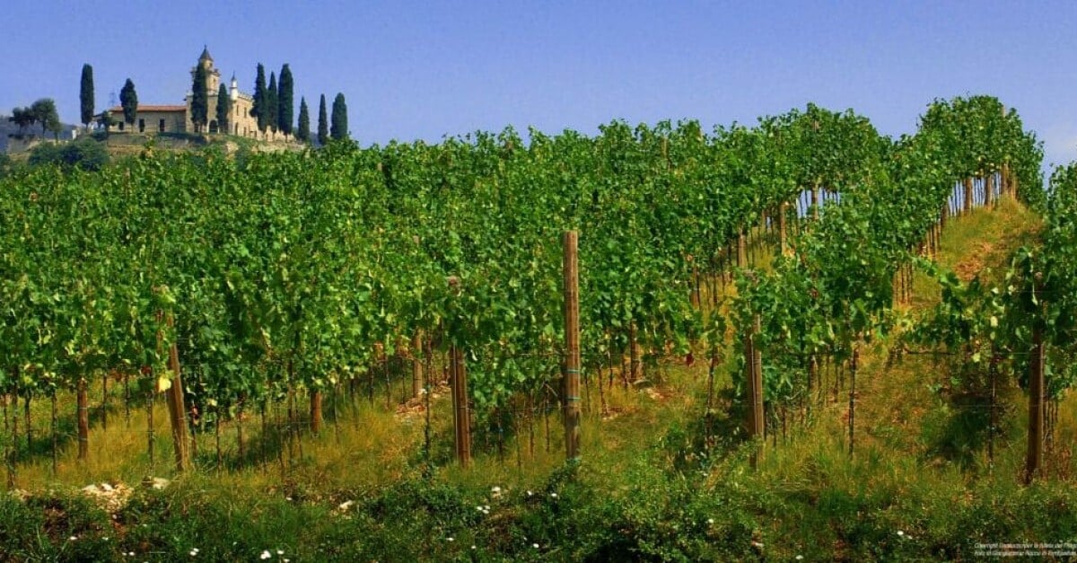 Franciacorta Wine Region 2026 | Wines & Wineries | WineTourism.com