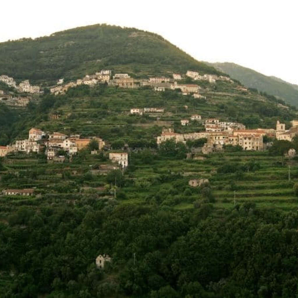 Campi Flegrei Wines & Wineries 2026 | WineTourism.com